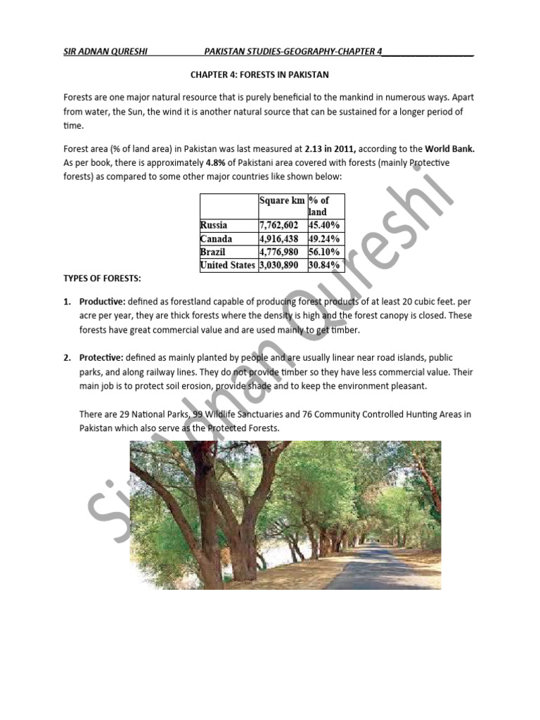 Chap 4 - Forests | PDF | Deforestation | Forests