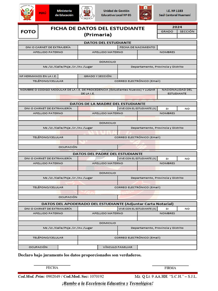 FICHA REGISTRO DATOS ESTUDIANTE PRIMARIA - Imagen | PDF | Documento de identidad | Gobierno y ...