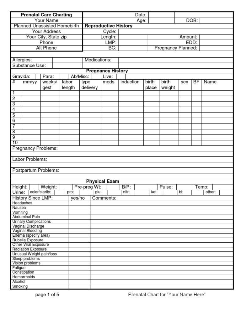 Prenatal Care Chart Template | PDF | Pregnancy | Childbirth