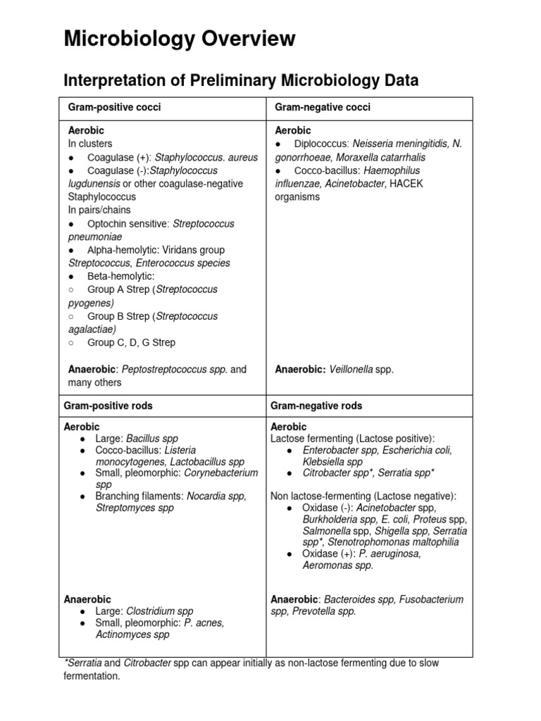Microbiology - Overview Reports and Intepretation | PDF | Streptococcus ...