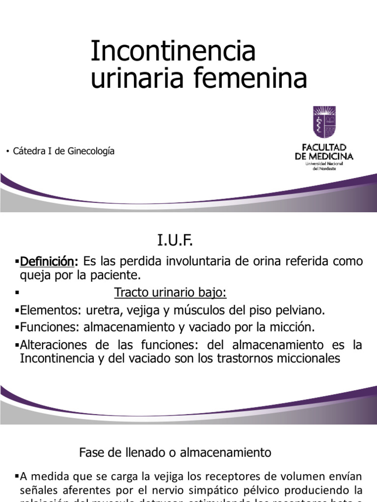 Incontinencia Urinaria Femenina: Diagnóstico y Tratamiento | PDF ...
