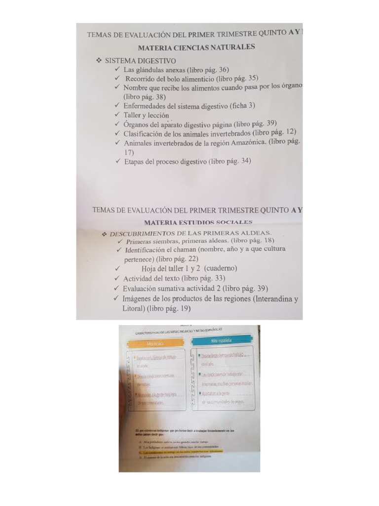 Temas Estudios Sociales | PDF