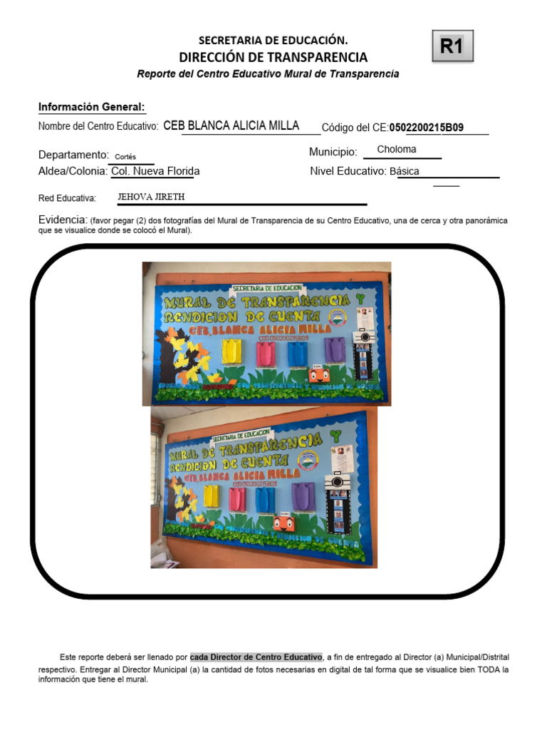 Informe R1 2024 Ceb | PDF