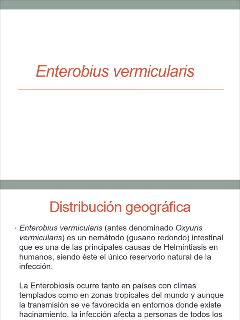 Enterobius Vermicularis y Ascaris | PDF | Enfermedades y trastornos ...