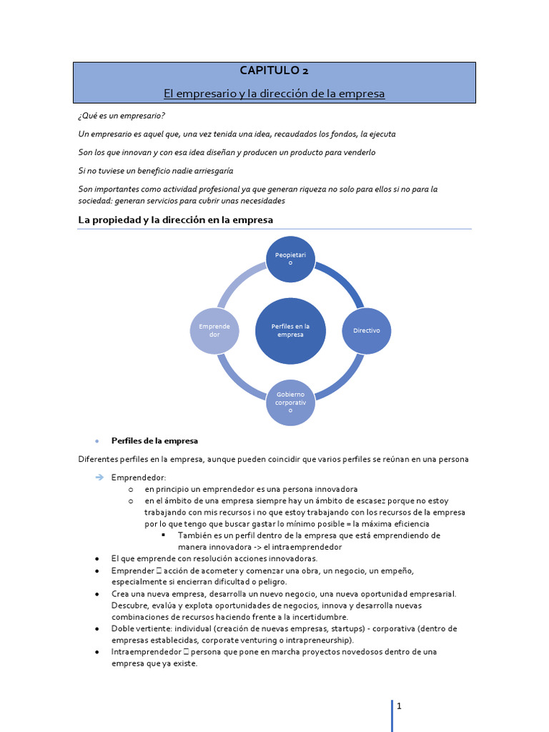 CAPITULO 2 El Empresario y La Dirección de Empresa | PDF | Iniciativa empresarial | Business