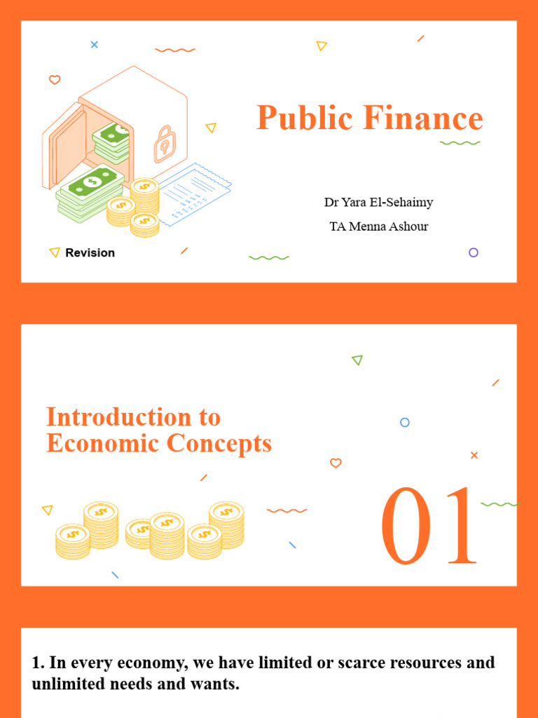 Understanding Public Finance Concepts | PDF | Externality | Economics