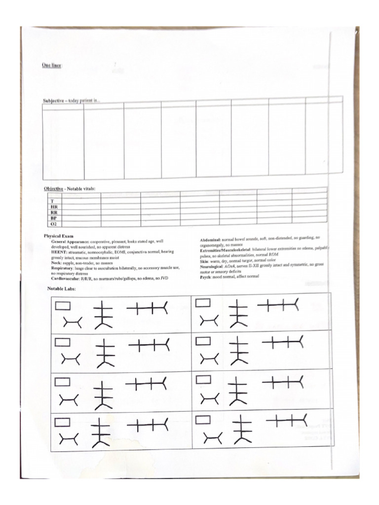 Physical Exam | PDF