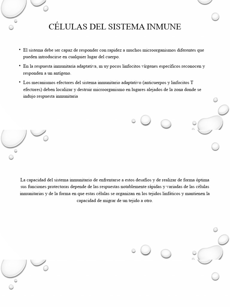 Celulas y Organos Del Sistema Inmune | PDF | Fagocito | Linfocitos