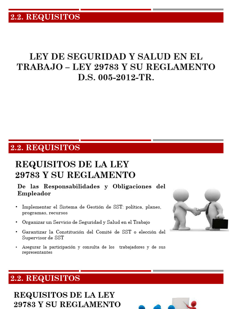 Requisitos y Responsabilidades Ley 29783 | PDF | Seguridad y salud ocupacional | Derecho laboral