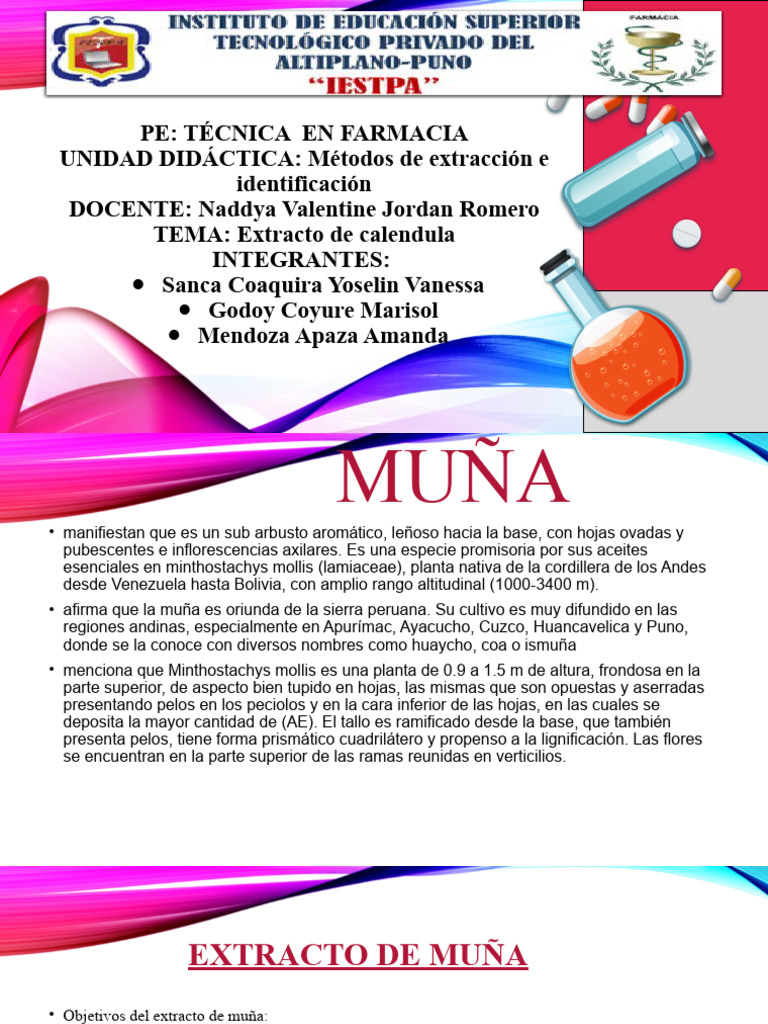 Extracion de Muña | PDF