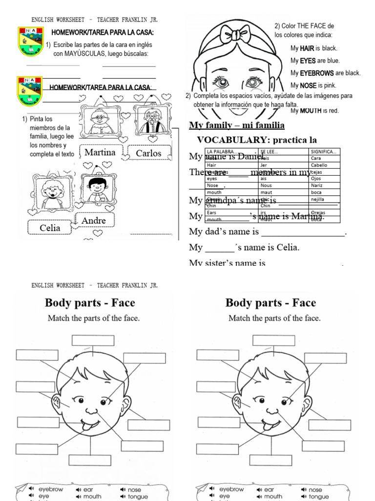 The Face - Fichas | PDF