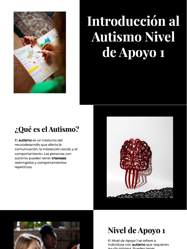 Autismo: Nivel de Apoyo 1 Explicado | PDF