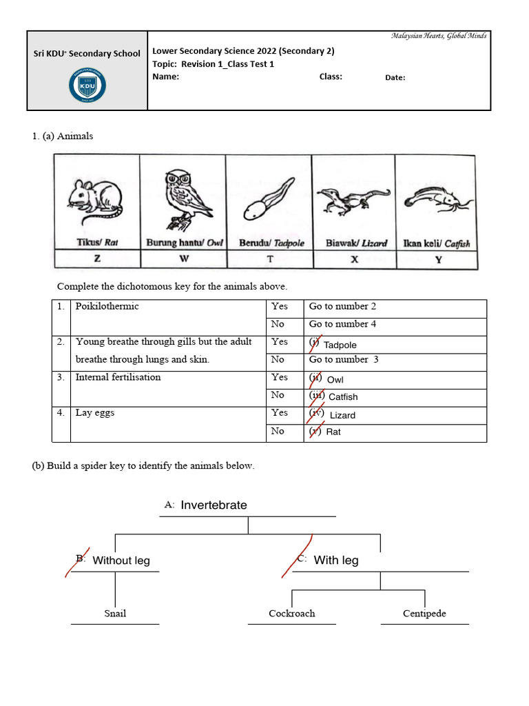 Food Chain Dynamics and Ecosystem Roles | PDF