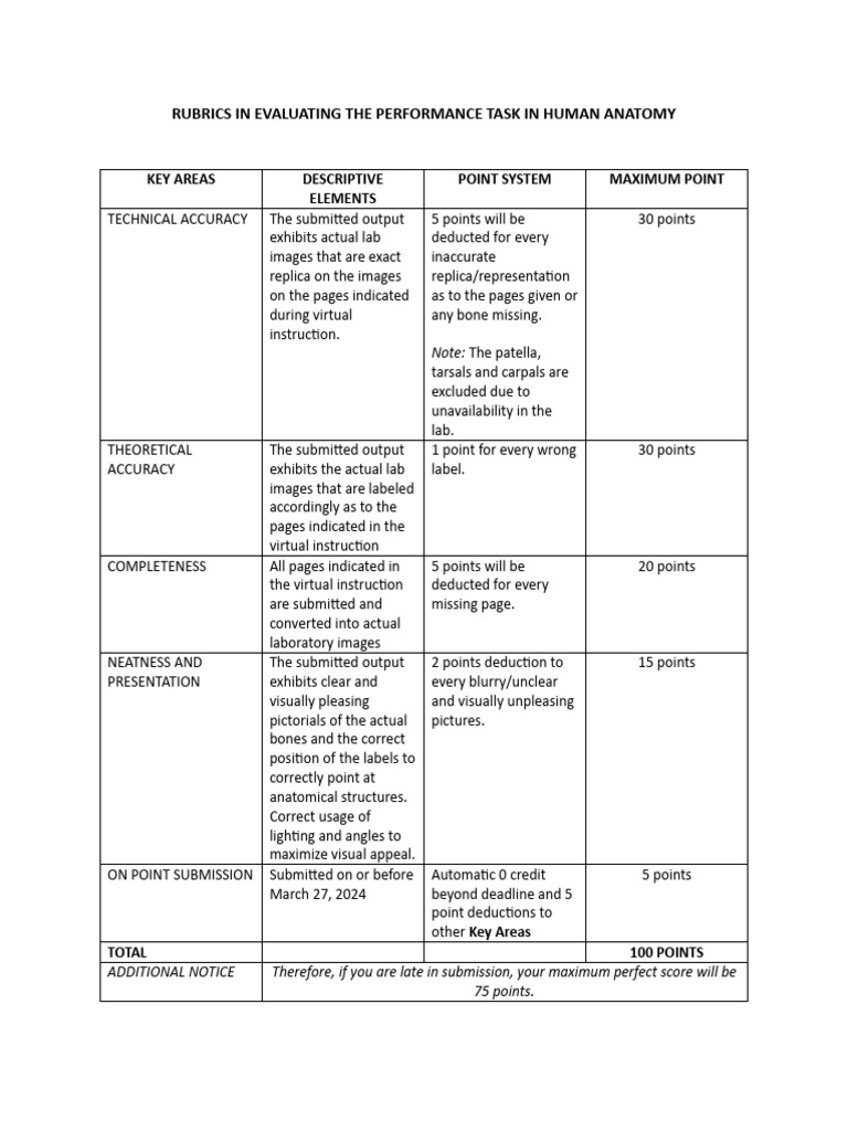Rubrics in Evaluating The Performance Task in Human Anatomy | PDF