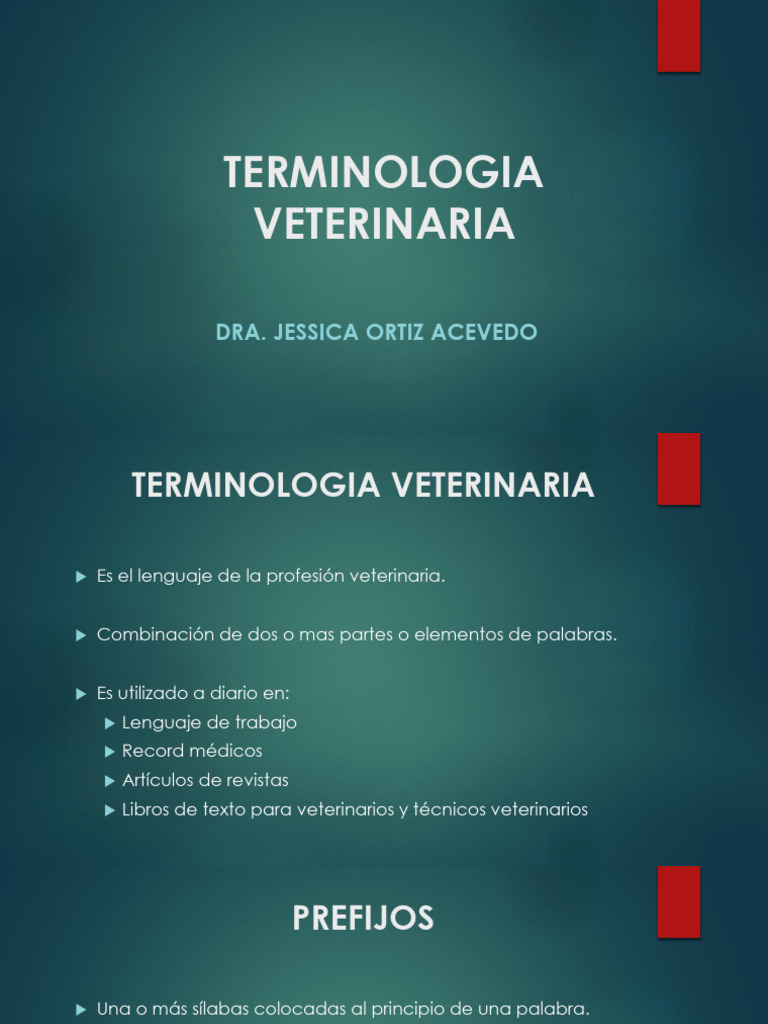TERMINOLOGIA y Definición | PDF | Lingüística