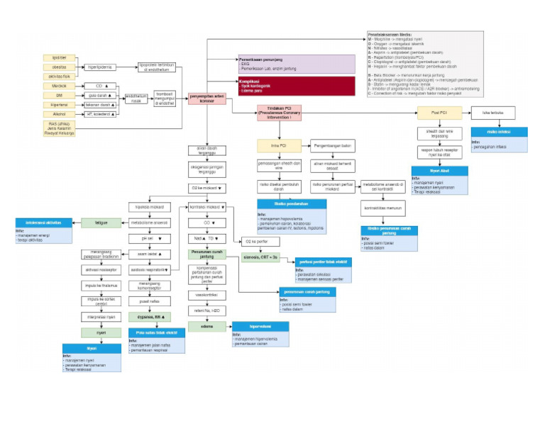 Patof CAD Post PCI | PDF