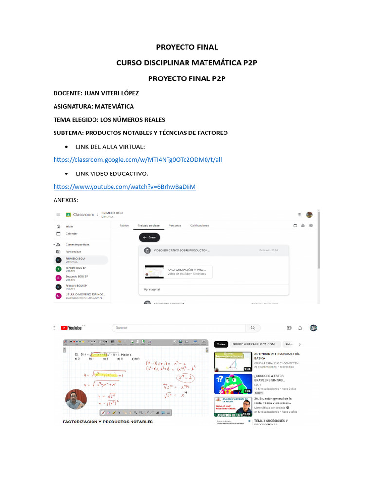 Proyecto Final | PDF