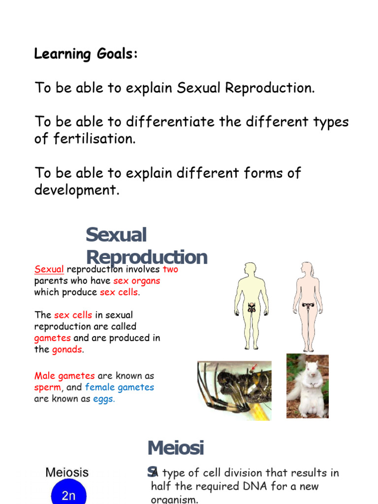 W7 (1) Q3 Scie 5 Sexual | PDF