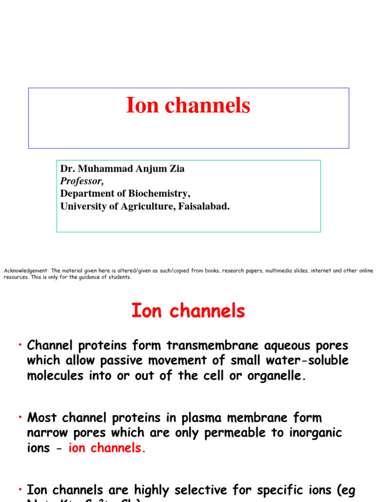 Overview of Ion Channels by Anjum Zia | PDF | Ion Channel | Cell Biology