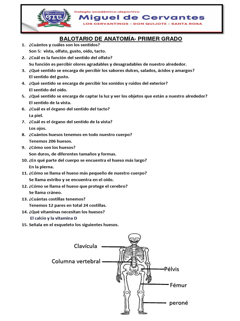 Balotario Anatomía - Primer Grado | PDF | Esqueleto | Hueso Balotario Anatomía - Primer Grado | PDF | Esqueleto | Hueso
