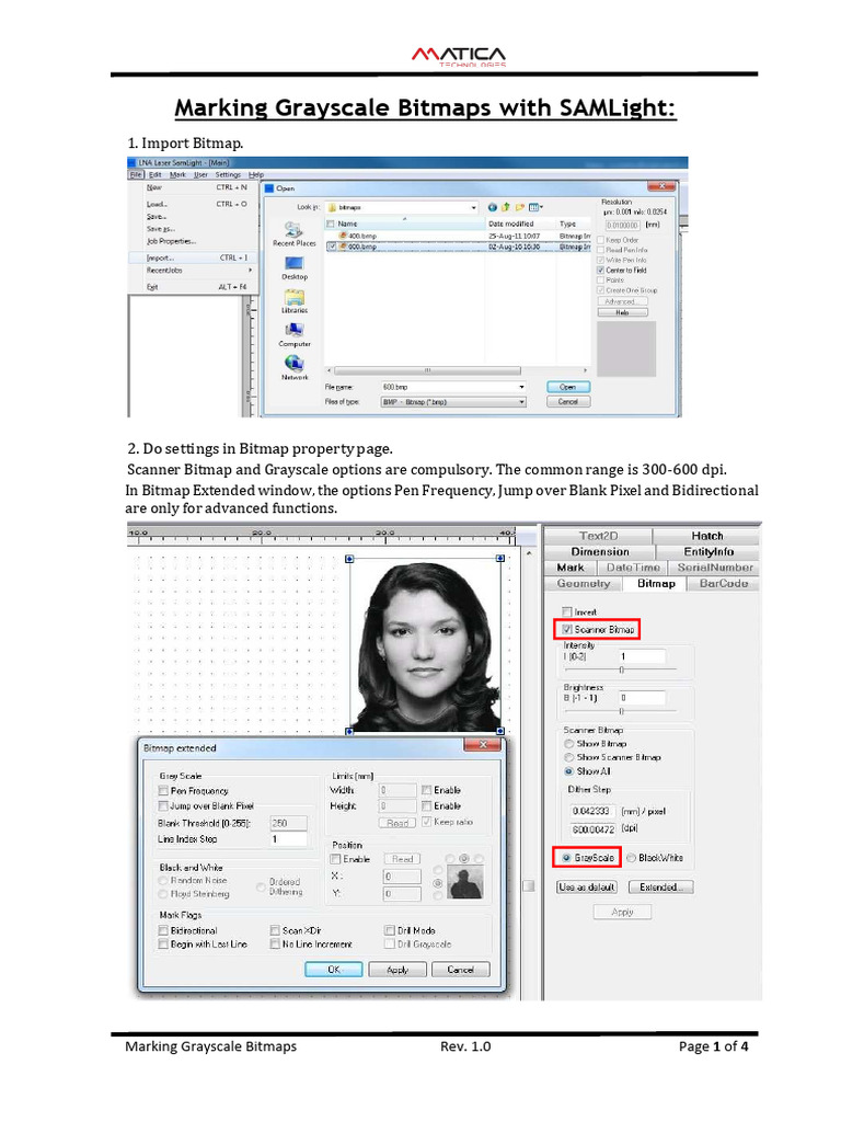 Marking Grayscale Bitmaps | PDF