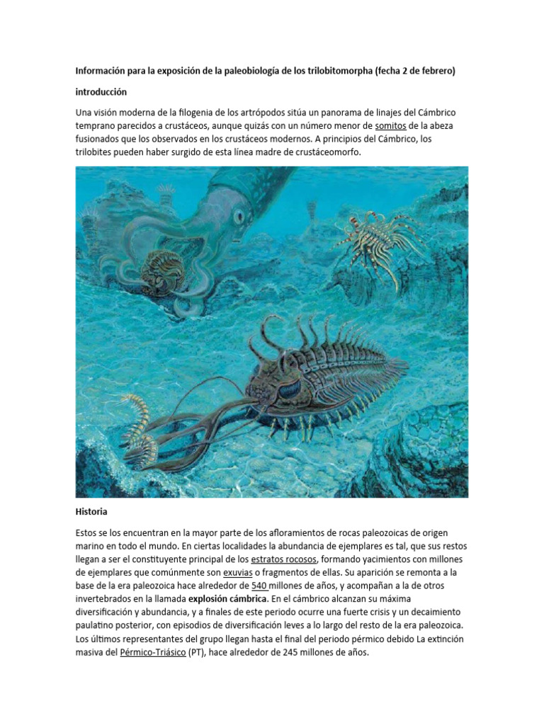 Paleobiología de Los Trilobitomorpha | PDF
