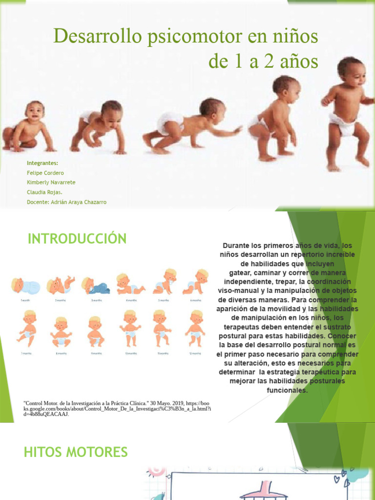 Desarrollo Psicomotor 1-2 Años | PDF | Neurociencia | Ciencia cognitiva