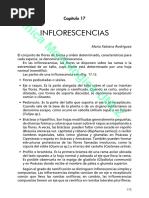 Tipos y Partes de Inflorescencias | PDF | Reproducción de plantas ...