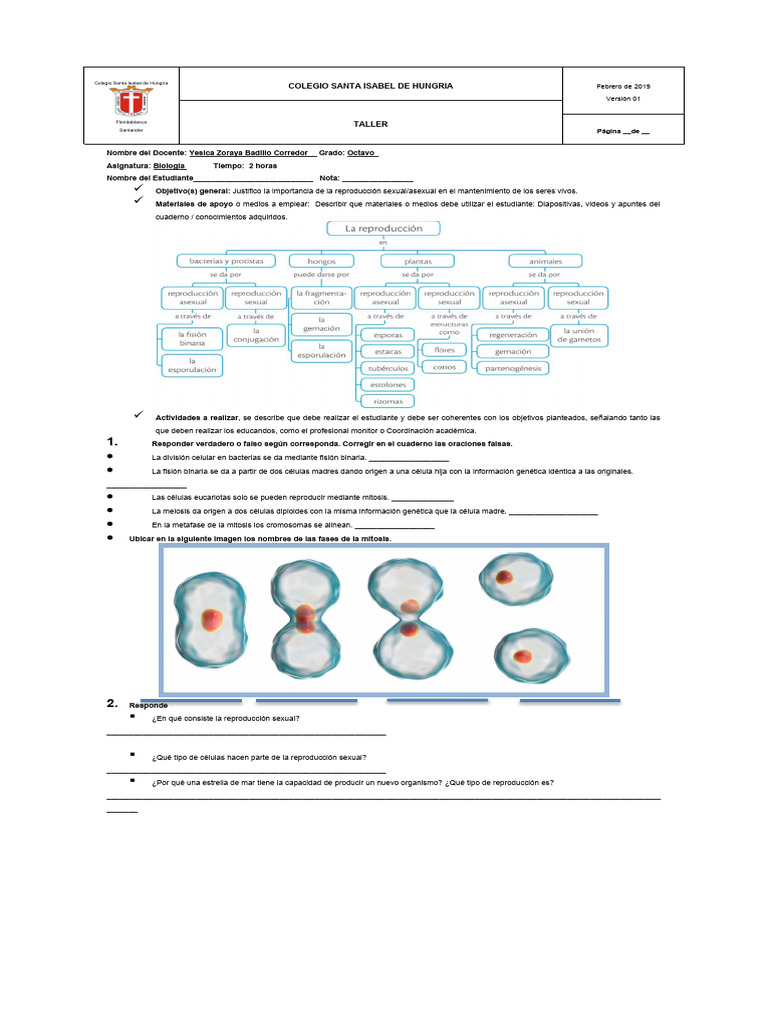 Taller Complementario 8° | PDF