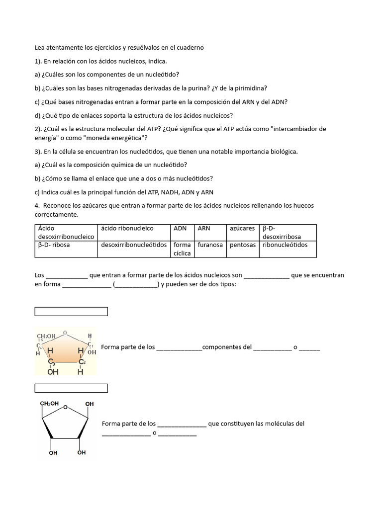 Ejercicios Noveno | PDF | Ácidos nucleicos | Nucleótidos