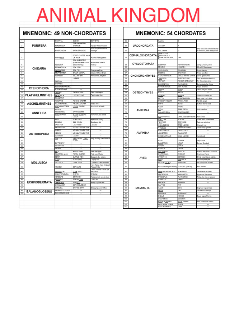 Mnemonic-Animal Kingdom Names | PDF | Zoology