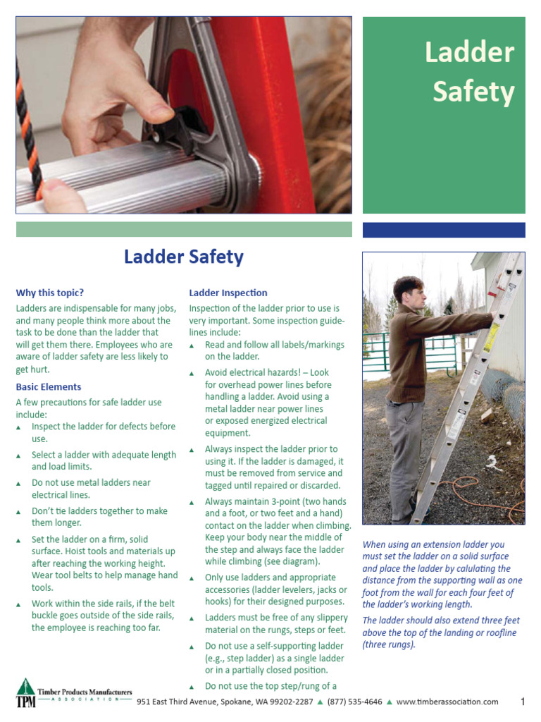 Ladder Safety | PDF | Ladder