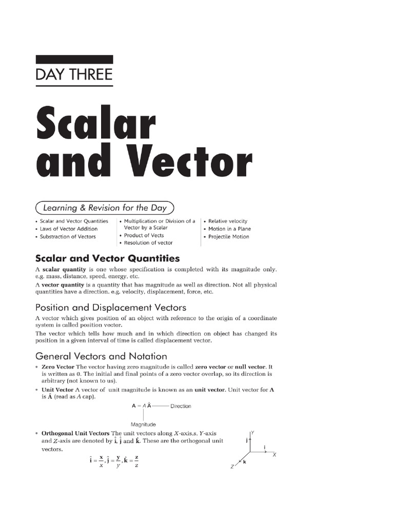 Scalar and Vector | PDF