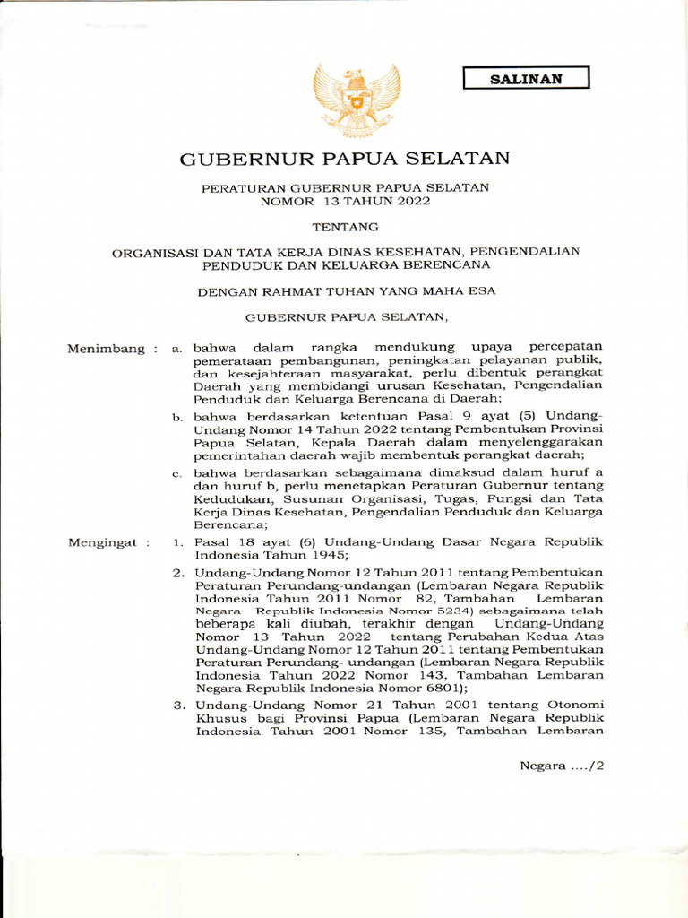 Pergub No. 13 Tentang Sotk Dinas Kesehatan PPS | PDF