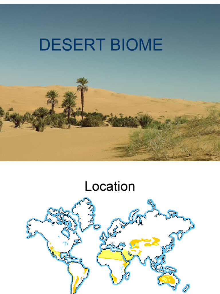 Desert Biome | PDF