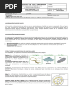 Ejemplos de Movimiento Ameboide | PDF | Músculo esquelético | Biología ...