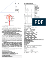 3.1 Female Reproductive System ONE PAGER | PDF | Ovary | Animal Anatomy