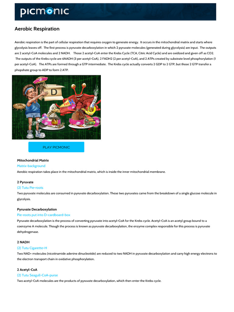 Aerobic Respiration Picmonic | PDF | Diet & Nutrition | Chemistry
