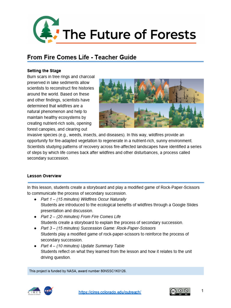 Wildfire Recovery: Secondary Succession Guide | PDF | Disturbance ...