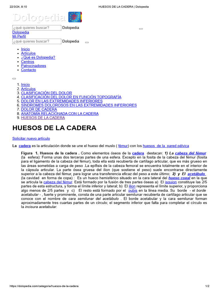 HUESOS DE LA CADERA - Dolopedia | PDF | Articulación | Hueso