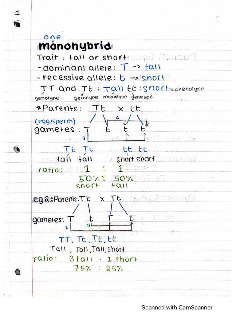 IGCSE Extended Biology Notes (Inheritance) | PDF