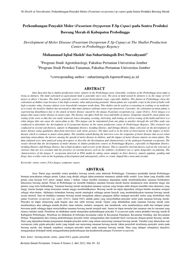 Perkembangan Penyakit Moler Pada Sentr Produksi | PDF