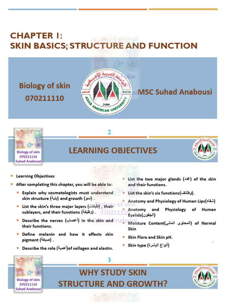 Understanding Skin Structure and Functions | PDF | Skin | Epidermis