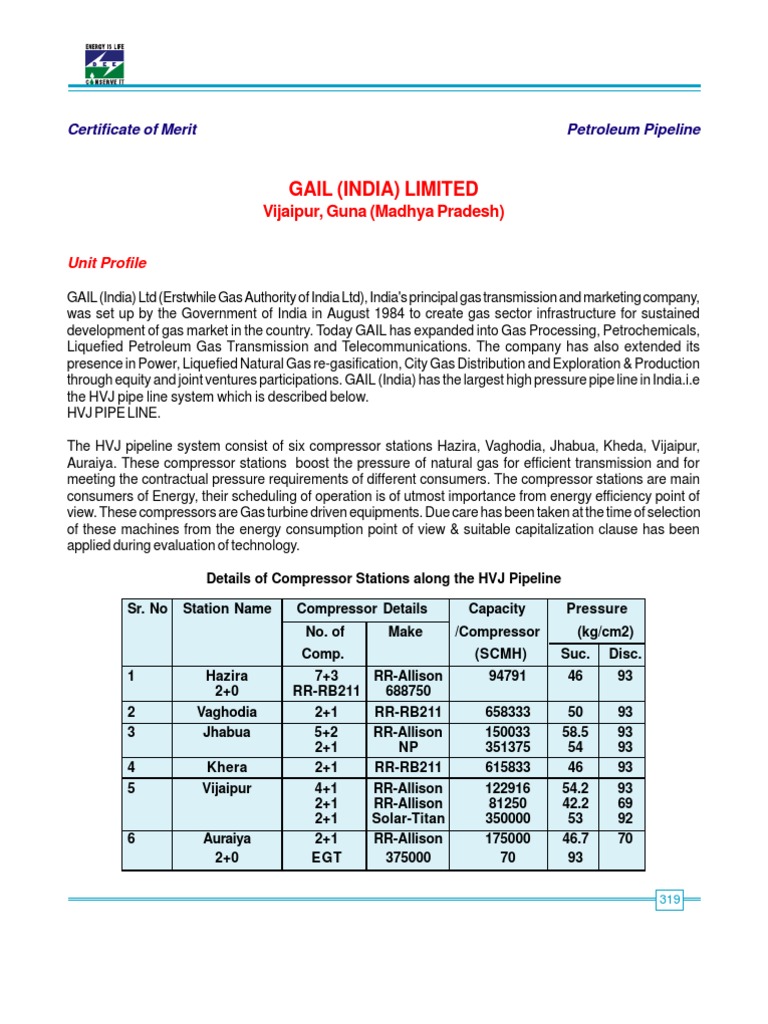 HVJ | PDF | Gas Compressor | Pipeline Transport