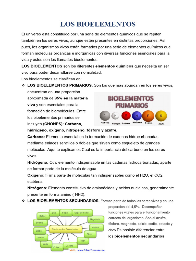 Ficha Informativa - Bioelementos | PDF | Elementos químicos | Organismos