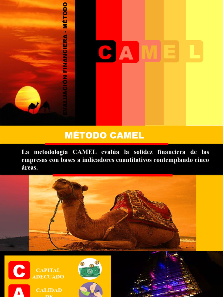 Evaluación Financiera - Método Camel | PDF | Rentabilidad sobre recursos propios | Bancos