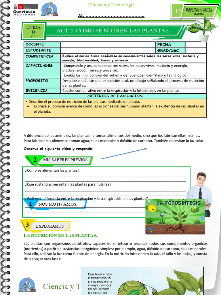 B-1º Act 2 Cyt Unid 2 - Sem 2 | PDF