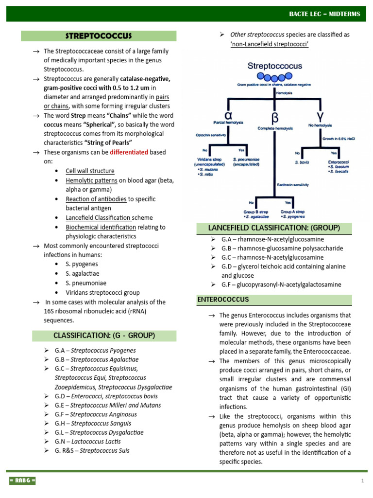 Streptococcus-Midterm - 2ND Sem | PDF | Streptococcus | Biology