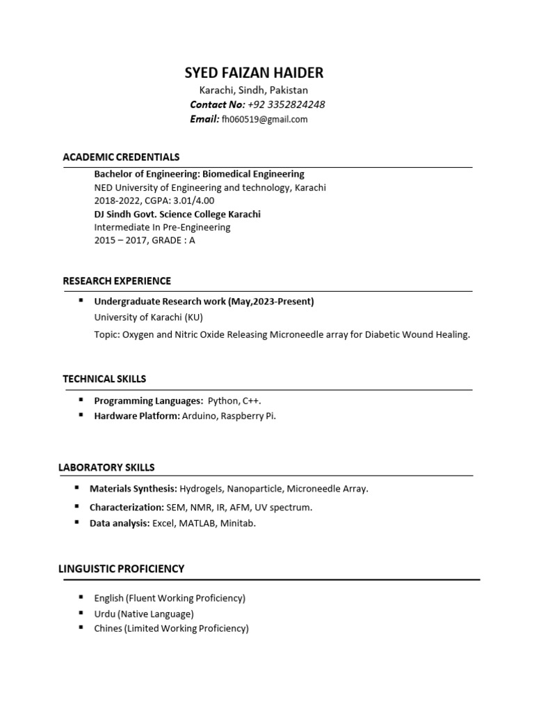 Faizan CV | PDF