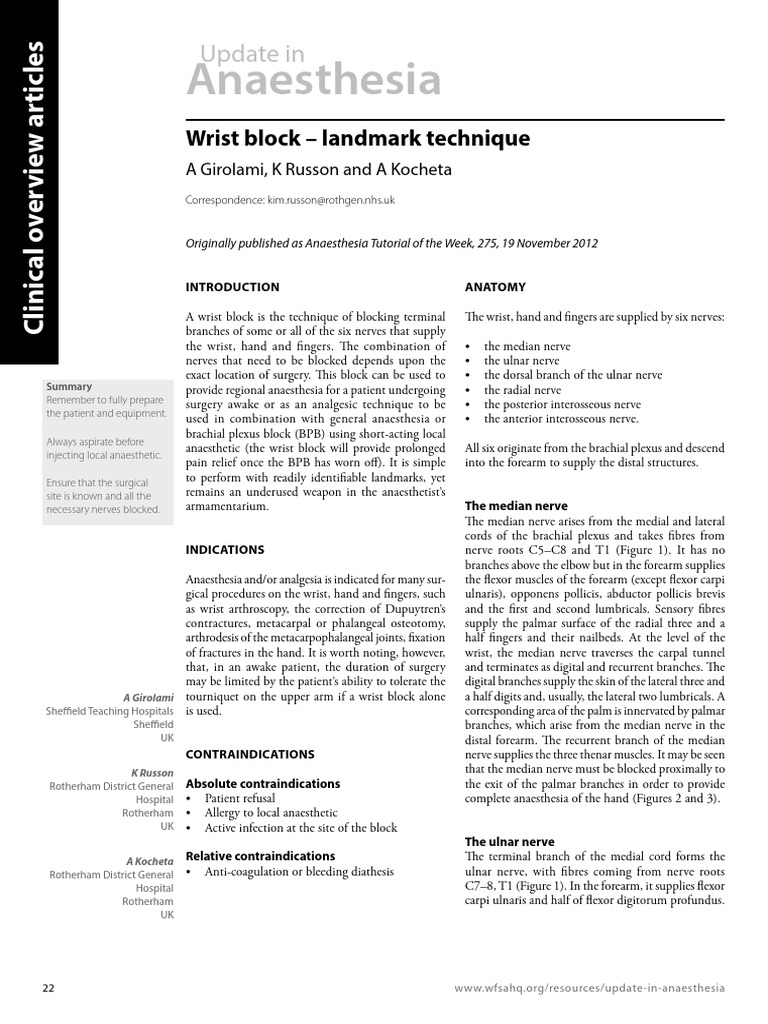 Wrist Block: Landmark Technique Overview | PDF | Hand | Human Anatomy